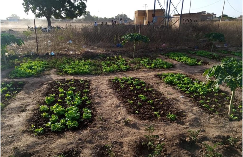 Suivi et évaluation – Sol-Vert