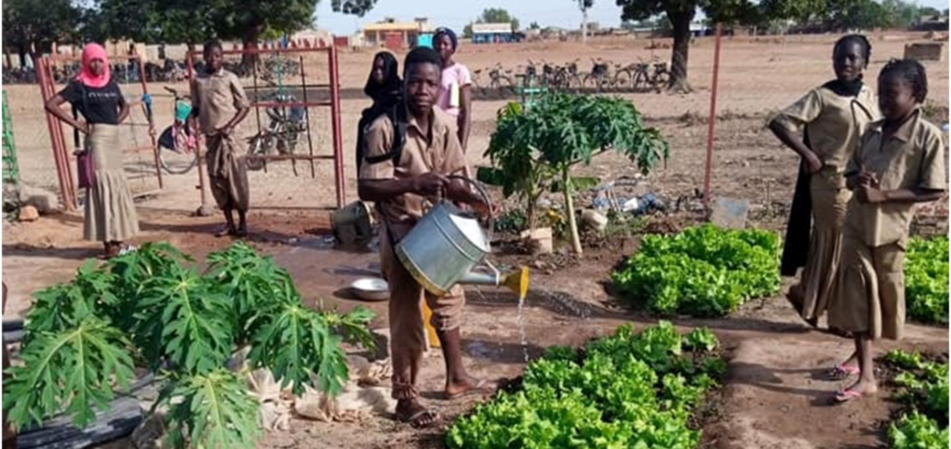 Suivi et évaluation – Sol-Vert